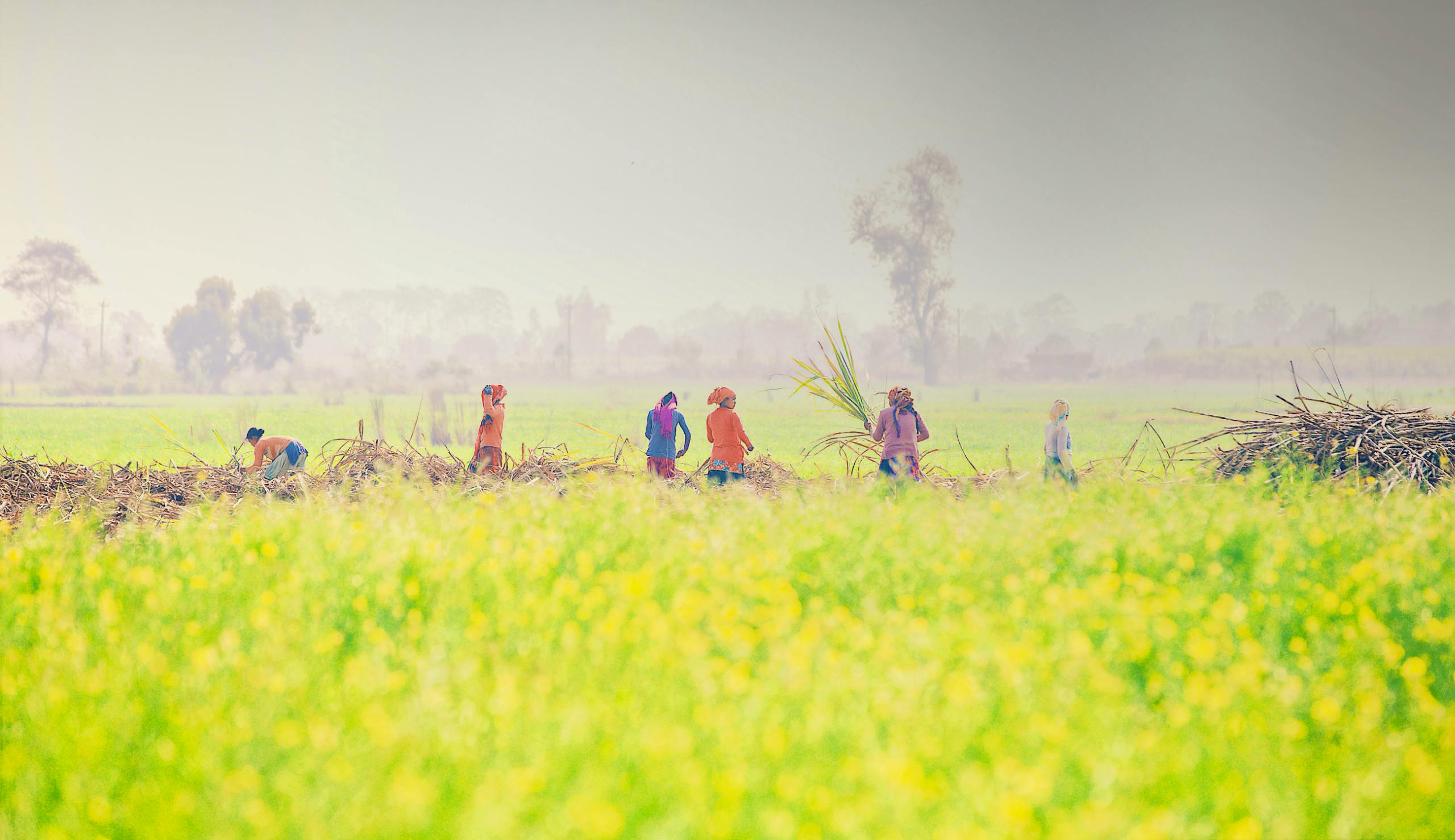 The Baháʼí Faith - Home