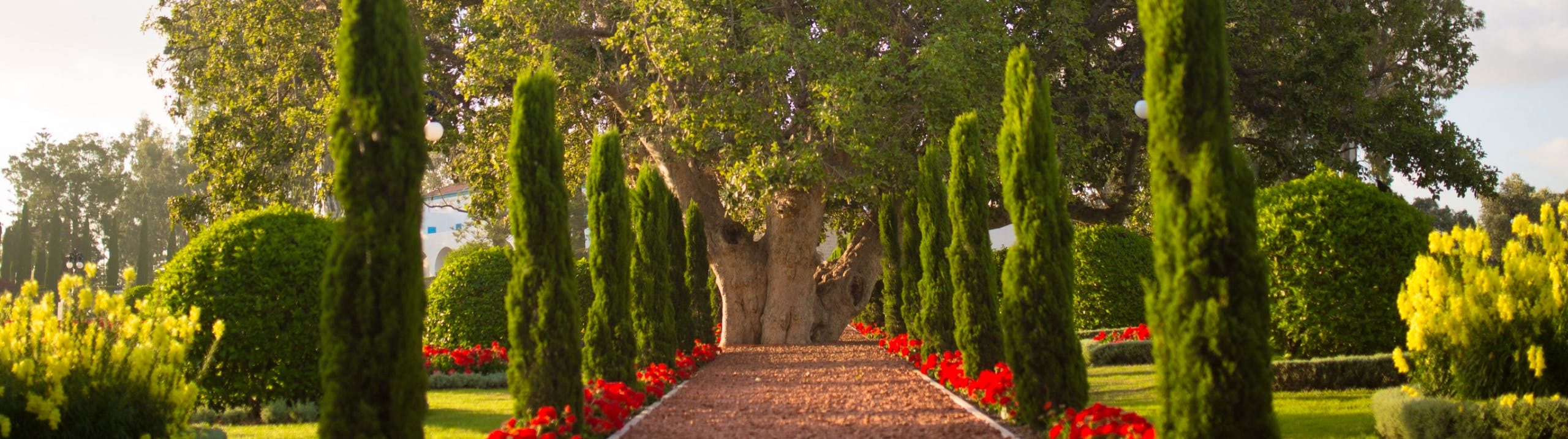 The Baháʼí Faith - Home