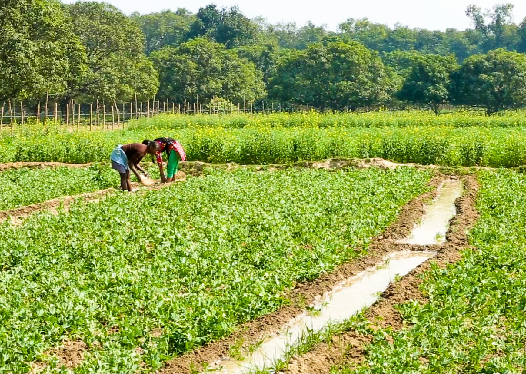 Nature and the Advancement of Civilization | Nature | God and His ...