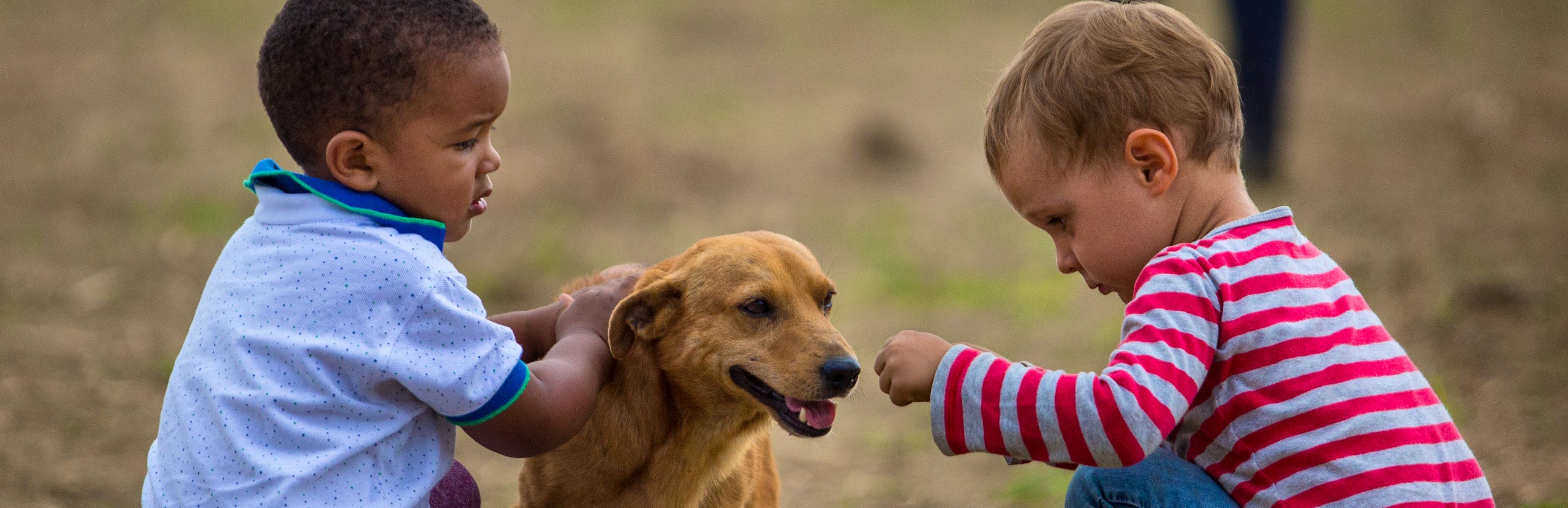 Character and Conduct | The Life of the Spirit | What Bahá’ís Believe