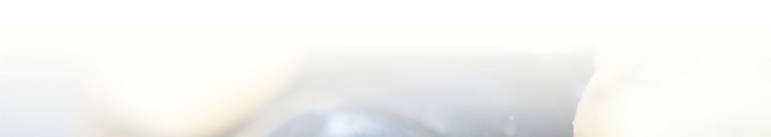 The Rational Soul | The Human Soul | The Life of the Spirit | What Bahá ...